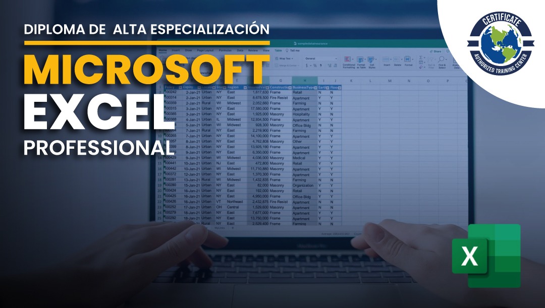 Microsoft Excel Professional - CERTIFICATE PROJECT CONTROL
