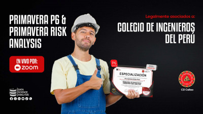 Primavera P6 Avanzado & Primavera Risk Analysis - Avanzado - Data ...