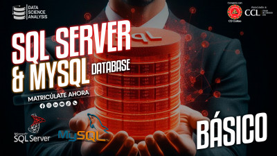 Inicio - Data Science Analysis