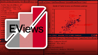 Eviews - Govierna Platform